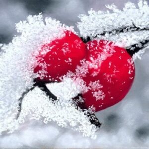 Artists Profiles | Cotswold Art Club